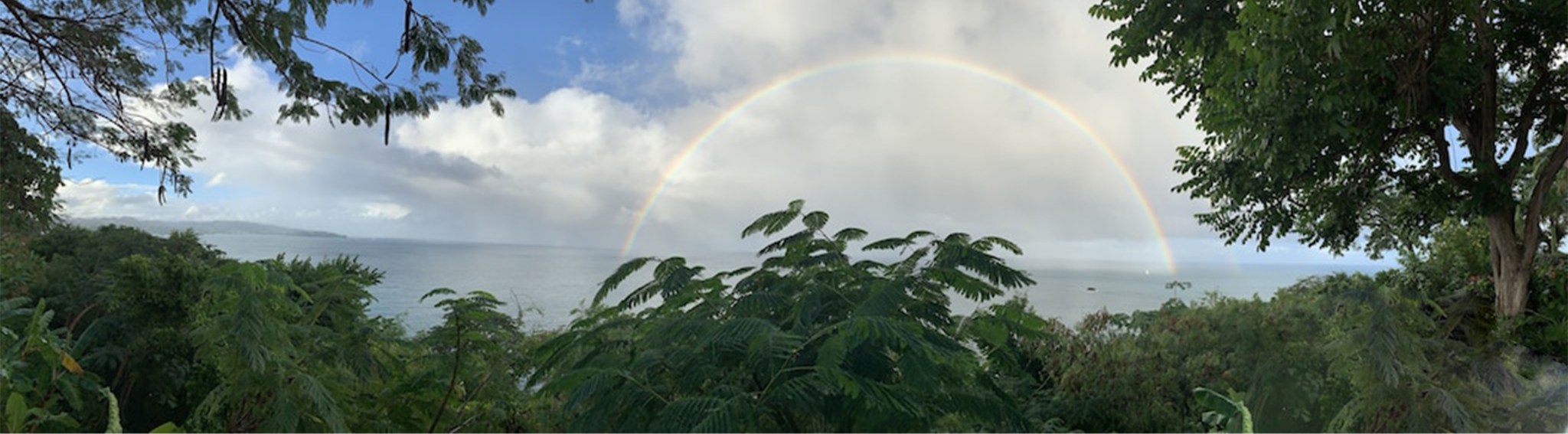 REVIEWS - MORNE TRULAH ESTATE — The Ultimate Caribbean Getaway